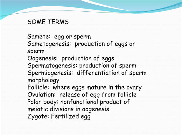 Basic concepts Developmental biology 4th sem.ppt
