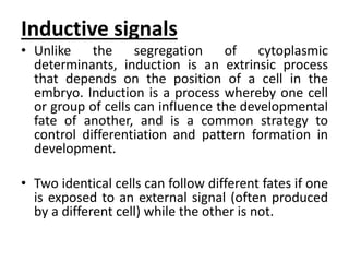 Basic concepts in developmental biology | PPTX