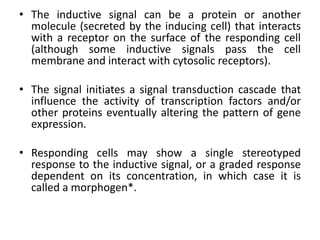Basic concepts in developmental biology | PPTX