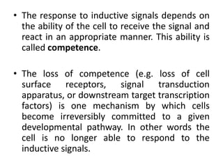 Basic concepts in developmental biology | PPTX