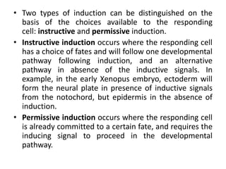 Basic concepts in developmental biology | PPTX