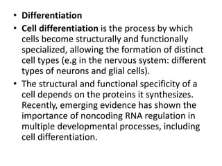Basic concepts in developmental biology | PPTX