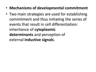 Basic concepts in developmental biology | PPTX