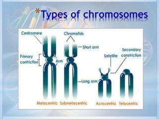 Basic concepts in genetics | PPTX