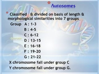 Basic concepts in genetics | PPTX