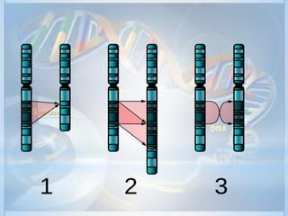 Basic concepts in genetics | PPTX