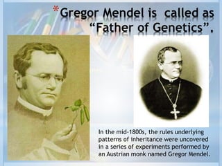 Basic concepts in genetics | PPTX