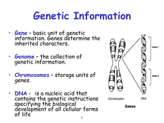 BASIC CONCEPTS IN GENETICS. ppt | PPT