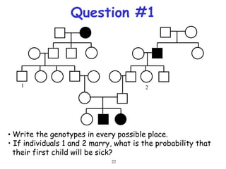 BASIC CONCEPTS IN GENETICS. ppt | PPT