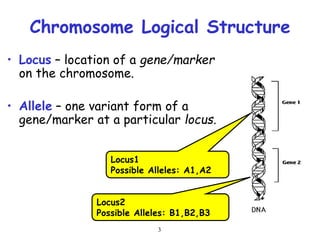 BASIC CONCEPTS IN GENETICS. ppt | PPT