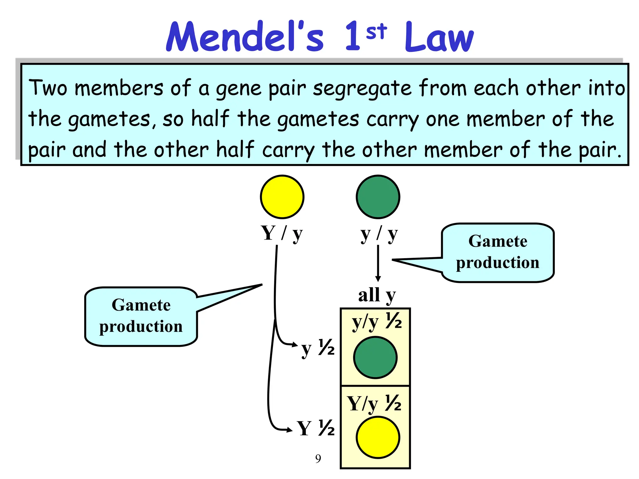 BASIC CONCEPTS IN GENETICS BASIC CONCEPTS IN GENETICS.ppt