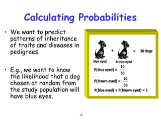 BASIC CONCEPTS IN GENETICS BASIC CONCEPTS IN GENETICS.ppt