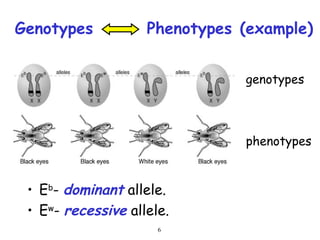BASIC CONCEPTS IN GENETICS BASIC CONCEPTS IN GENETICS.ppt