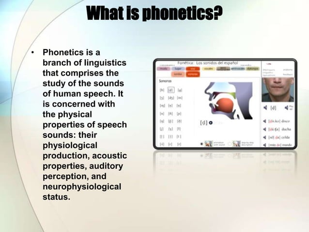 Basic concepts in phonetics | PPTX