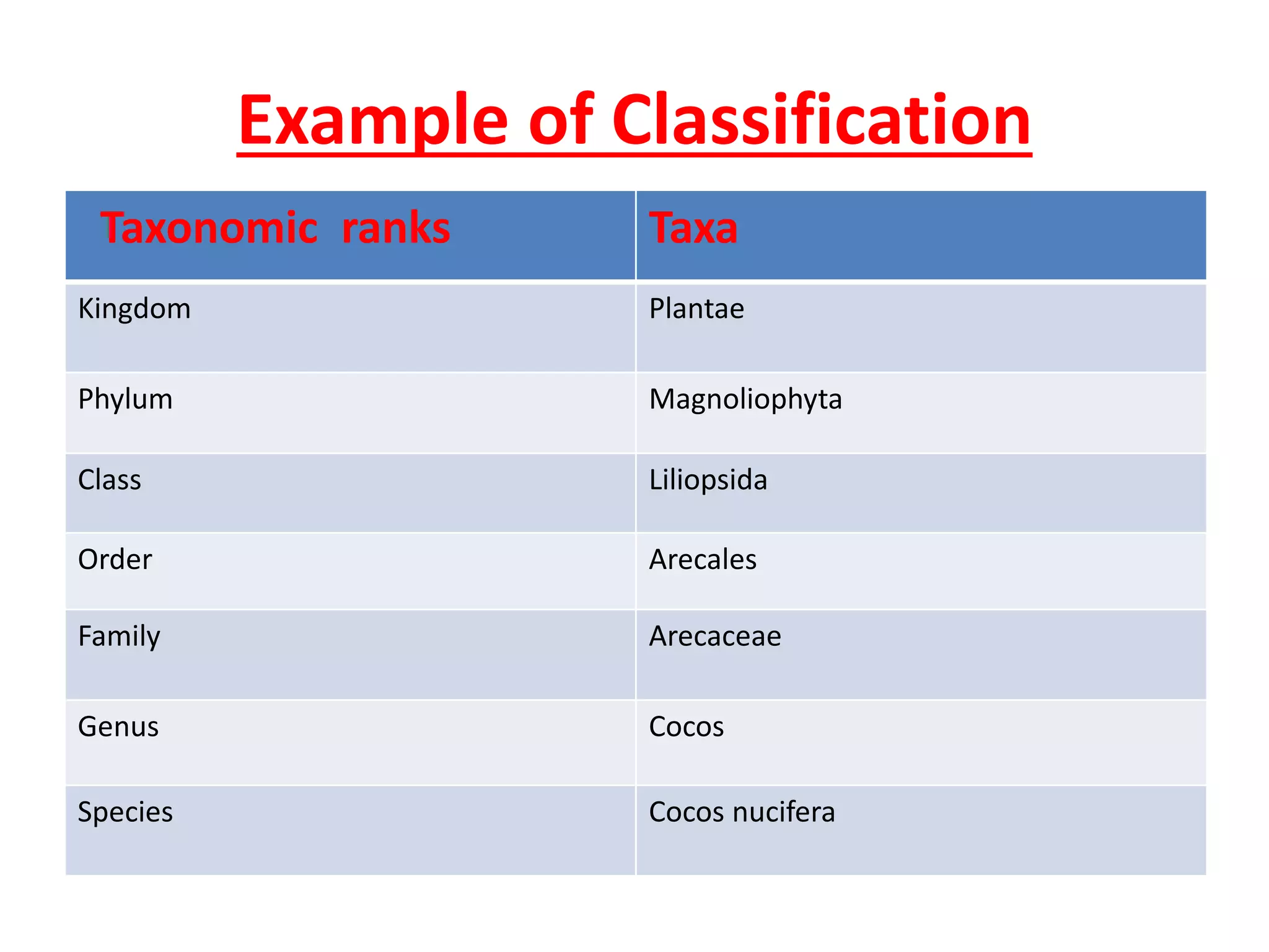 Basic concepts in systamatics,taxonomy and phylogenetic tree | PPTX