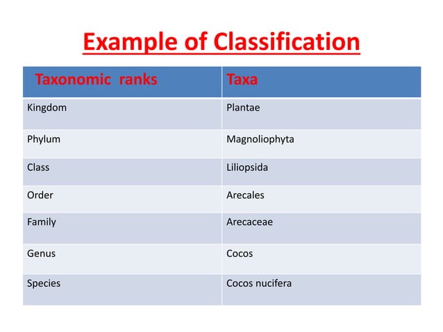 Basic concepts in systamatics,taxonomy and phylogenetic tree | PPTX