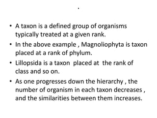 Basic concepts in systamatics,taxonomy and phylogenetic tree | PPTX