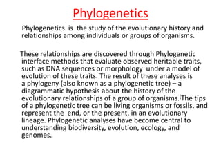 Basic concepts in systamatics,taxonomy and phylogenetic tree | PPTX