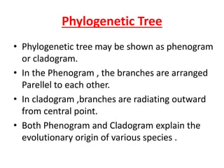 Basic concepts in systamatics,taxonomy and phylogenetic tree | PPTX