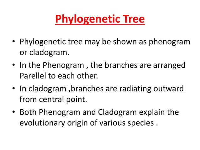 Basic concepts in systamatics,taxonomy and phylogenetic tree | PPTX