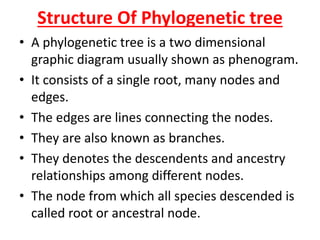 Basic concepts in systamatics,taxonomy and phylogenetic tree | PPTX
