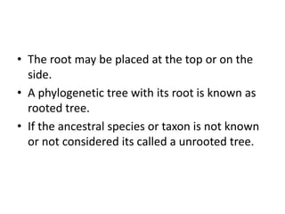 Basic concepts in systamatics,taxonomy and phylogenetic tree | PPTX