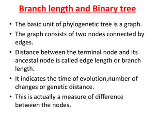 Basic concepts in systamatics,taxonomy and phylogenetic tree | PPTX