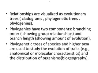Basic concepts in systamatics,taxonomy and phylogenetic tree | PPTX