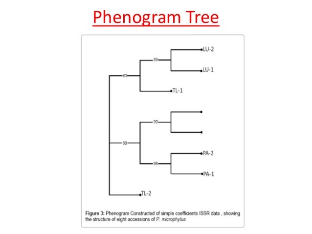 Basic concepts in systamatics,taxonomy and phylogenetic tree