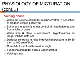 Basic concepts in urogynaecology | PPTX