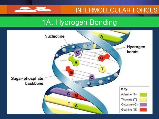 Basic Conceptsof Biochemistry, Atom,.ppt