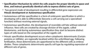 Basic Concepts of Devleopmentmjbxcvdcdcj d.pptx
