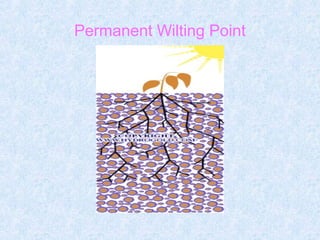 Basic concepts of drainage and leaching | PPT