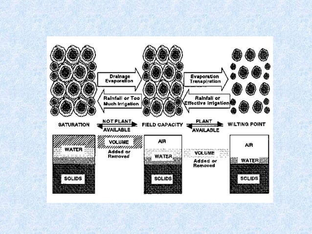 Basic concepts of drainage and leaching | PPT