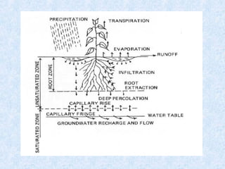 Basic concepts of drainage and leaching | PPT