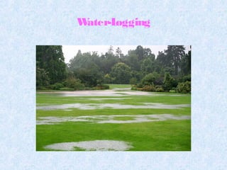 Basic concepts of drainage and leaching | PPT