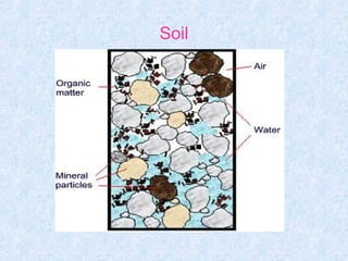 Basic concepts of drainage and leaching | PPT