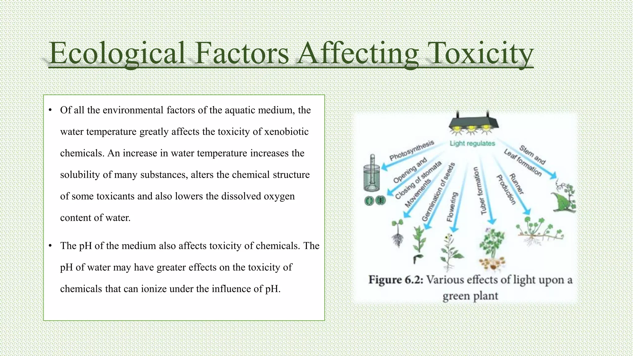 BASIC CONCEPTS OF ECOTOXICOLOGY.pptx