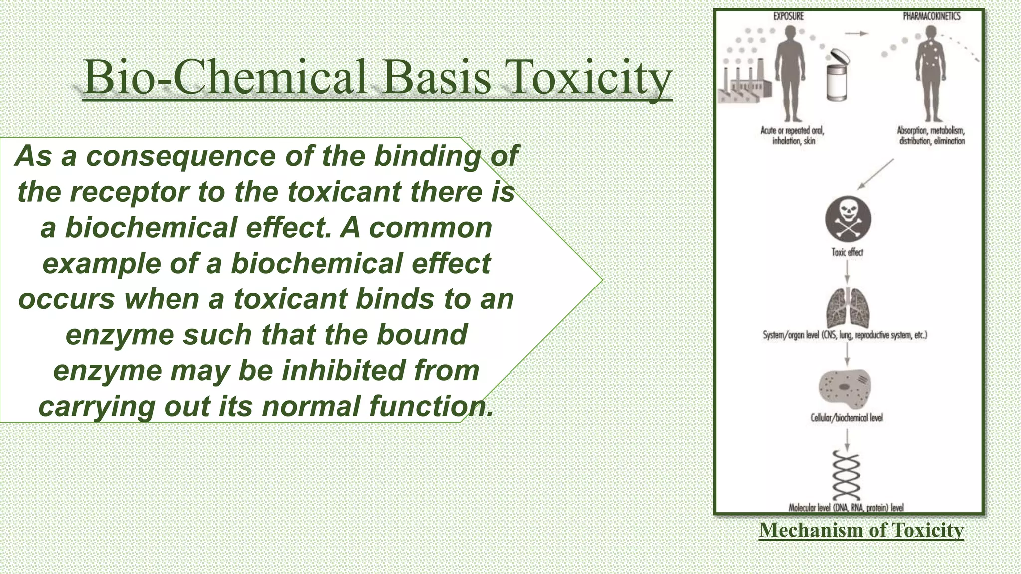 BASIC CONCEPTS OF ECOTOXICOLOGY.pptx