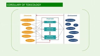 BASIC CONCEPTS OF ECOTOXICOLOGY.pptx