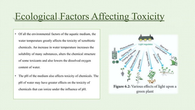 BASIC CONCEPTS OF ECOTOXICOLOGY.pptx