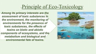 BASIC CONCEPTS OF ECOTOXICOLOGY.pptx
