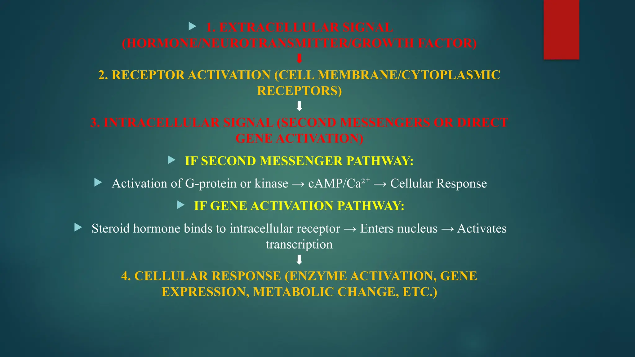 Basic concepts of endocrine system.power point presentation | PPTX