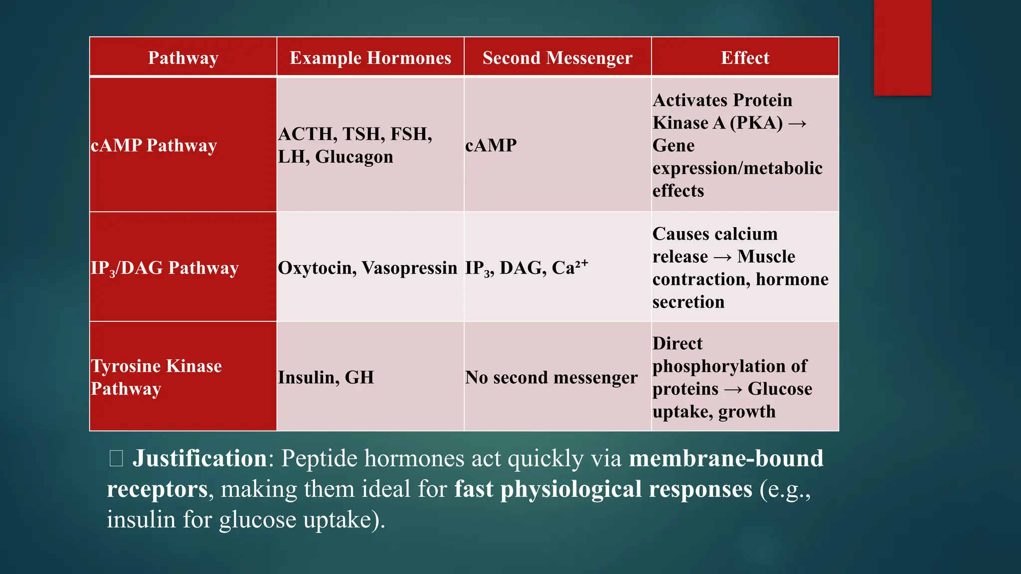 Basic concepts of endocrine system.power point presentation | PPTX