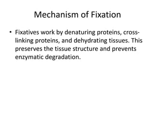 Basic_Concepts_of_Fixation.pptx......... | PPTX