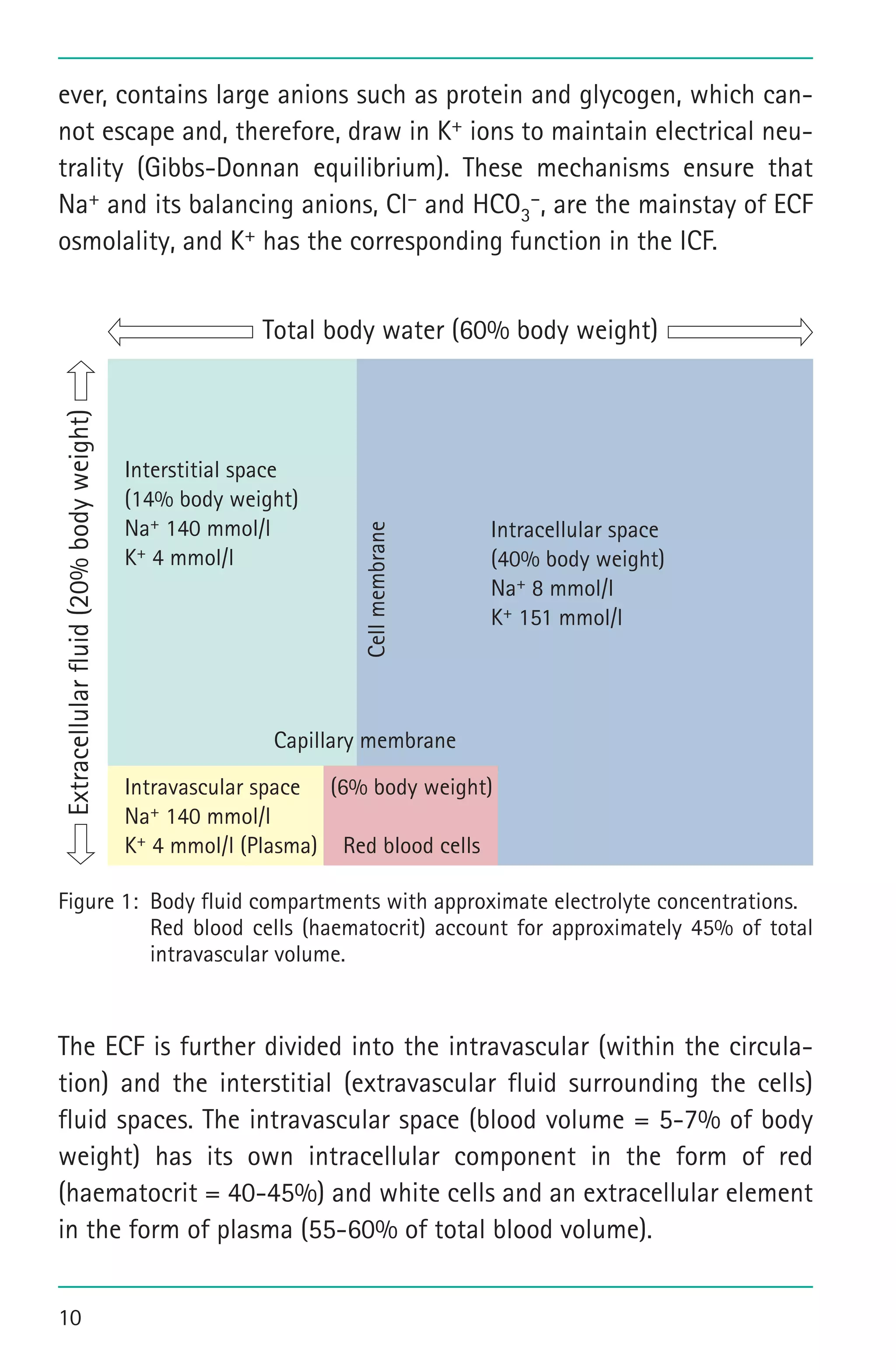 Basic Concepts of Fluid and Electrolyte Theraphy.pdf