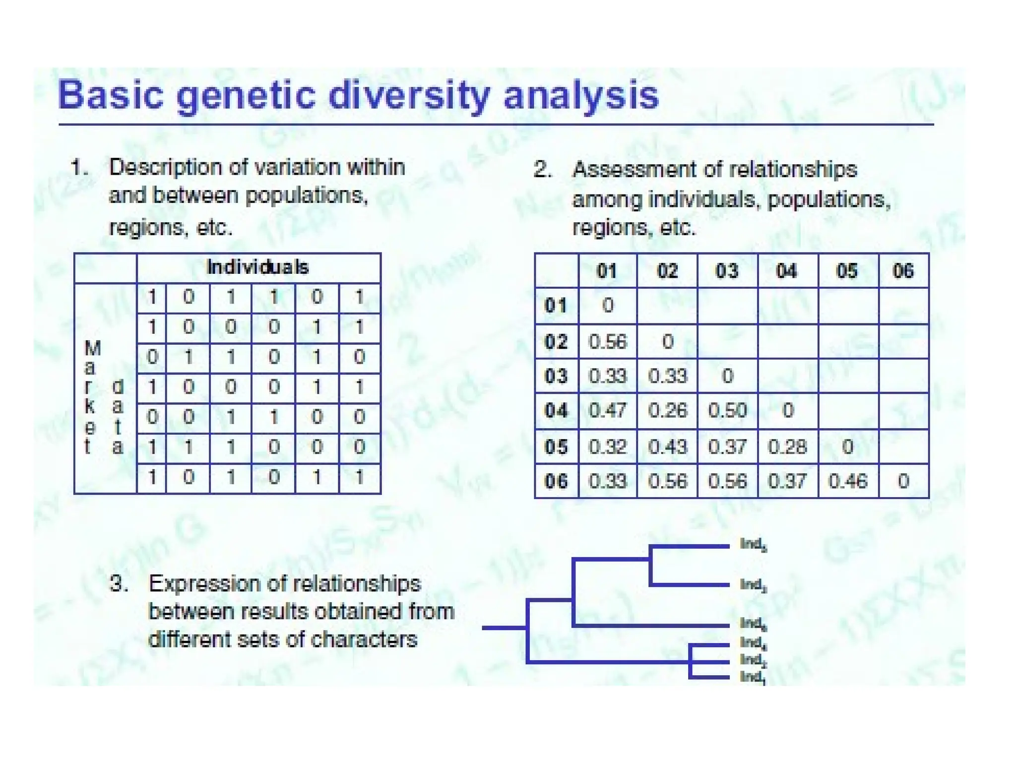 Basic concepts of genetic diversity vipp.ppt