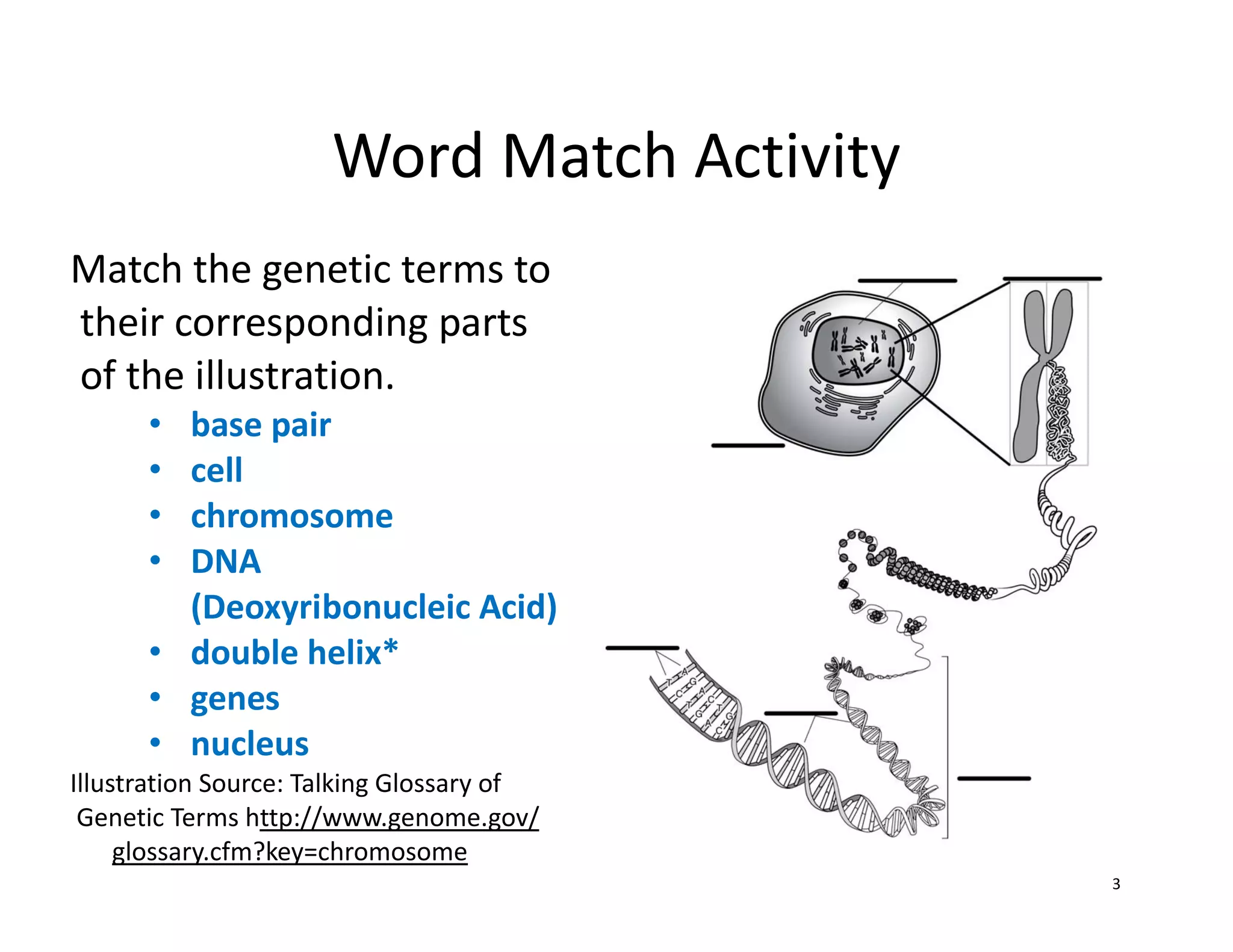 Basic concepts of genetics | PDF