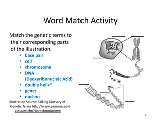 Basic concepts of genetics | PDF