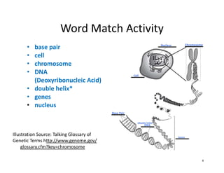 Basic concepts of genetics | PDF